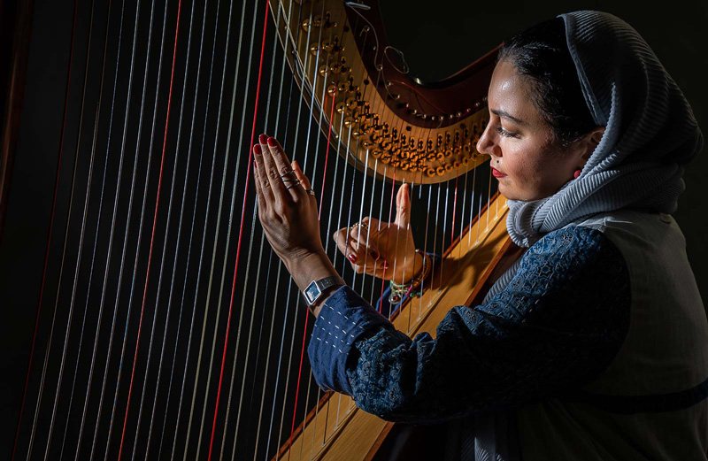 آشنایی با سازهای زهی ایرانی - روشینا موزیک